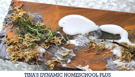 5 Easy Bat Stem Activities And Create A Stem Bat Habitat