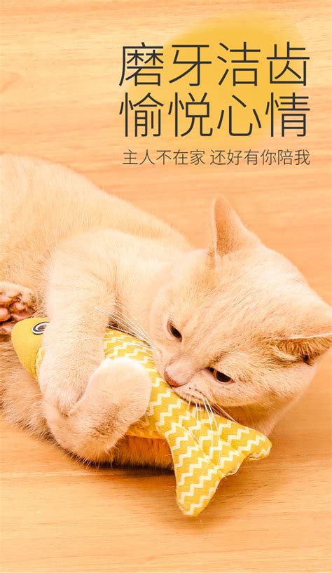 猫玩具自嗨解闷猫薄荷仿真鱼幼猫猫咪逗猫棒小猫磨牙宠物猫猫用品 阿里巴巴