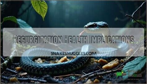 How To Handle Regurgitation Snakes Causes Care And Recovery Tips