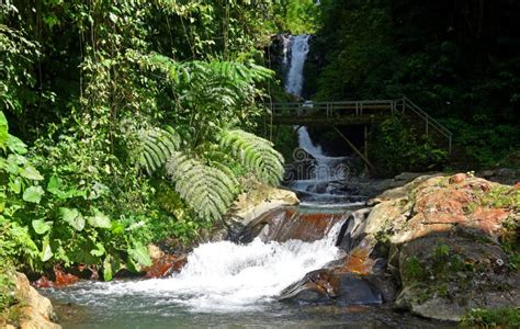 Gitgit Waterfall At Singaraja Regency Of Bali Indonesia Stock Image