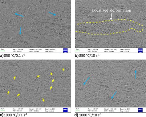 Sem Bse Micrographs Of Deformed Samples Under Different Deformation Download Scientific Diagram