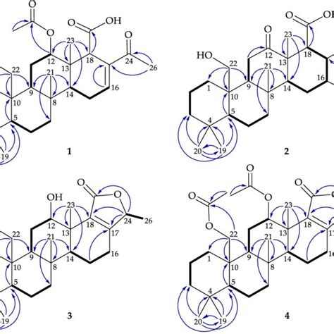 The Key Cosy Correlations And Heteronuclear Multiple Bond Download Scientific Diagram