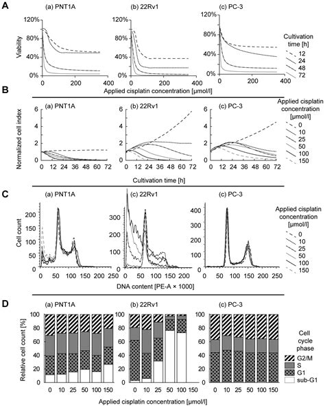 Cisplatin Resistant Prostate Cancer Model Differences In Antioxidant System Apoptosis And Cell