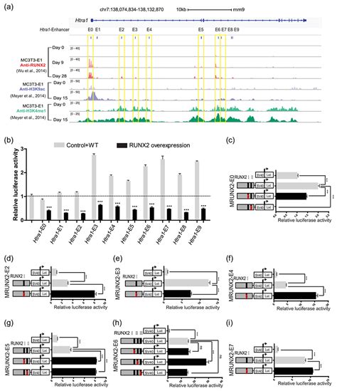 RUNX Co Operates With EGR To Regulate Osteogenic Differentiation Through Htra Enhancers PMC