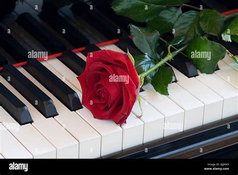 Love Melody Stock Photo Alamy