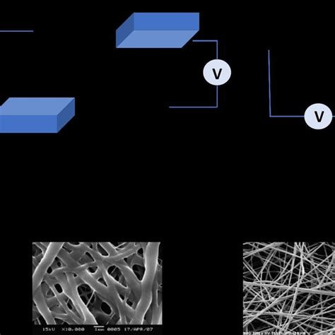 Formation Of Protein Polysaccharide Gel Complexes At Different Stages Download Scientific