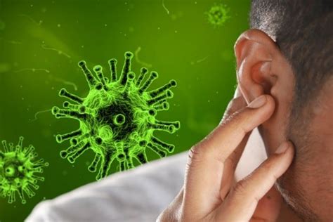 Understand Ear Fungal Infections With Treatments Dr Darakshan Parveen