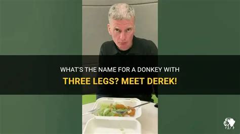 Whats The Name For A Donkey With Three Legs Meet Derek Petshun