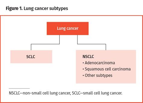 Lung Cancer Causing Confusion At Pauline Dane Blog