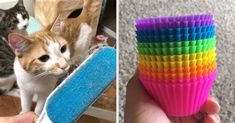 Reusable Products Youll Use Over And Over Reusable Products Youll Use Over And Over