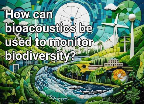 How Can Bioacoustics Be Used To Monitor Biodiversity Ecogovcapital