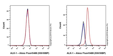 Anti Alk 1 Antibody Epr22985 125 Ab263863 Abcam
