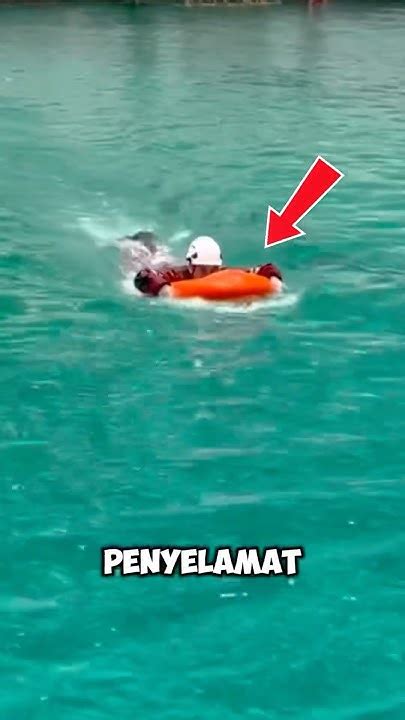 Pelampung Penyelamat Otomatis😱 Faktaunik Faktamenarik Technology