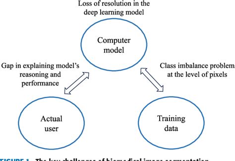 Figure 1 From An Explainable Ai System For Medical Image Segmentation With Preserved Local