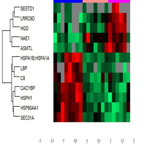 heat map illustrating hierarchical clusters of the 12 differentially