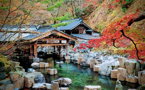 Best Mixed Onsen Tokyo