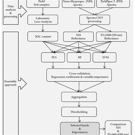 Flowchart Of The Methodology Ie Analyses Processing Steps And The