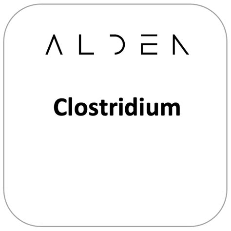 Clostridium Alden