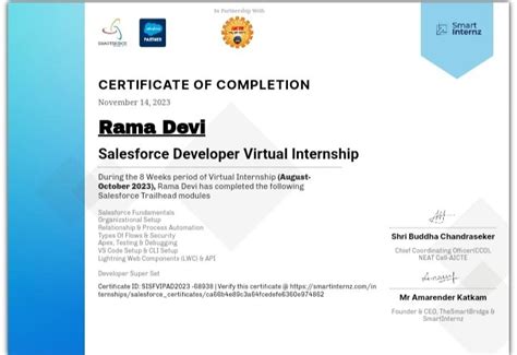 Rama Devi On Linkedin Salesforce Developer Internship Smartinternz