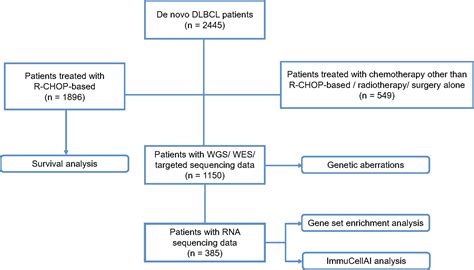 Frontiers Oncogenic Mutations And Tumor Microenvironment Alterations Of Older Patients With