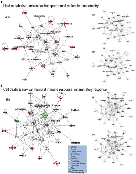 Viruses Free Fulltext Proteomic Interaction Patterns Between Human
