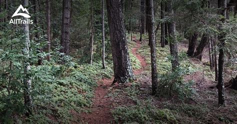 10 Best Hikes And Trails In Portola Redwoods State Park Alltrails