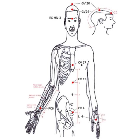 Acupoints For Treatment Group Download Scientific Diagram