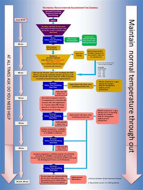 Neonatal Resuscitation Algorithm For Zambia A Step By Step Guide To