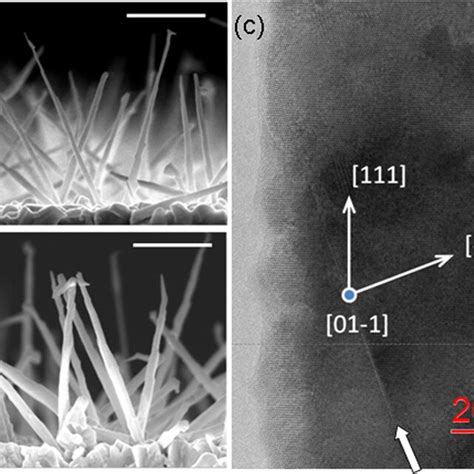 High Resolution Scanning Transmission Electron Microscope Image Hr