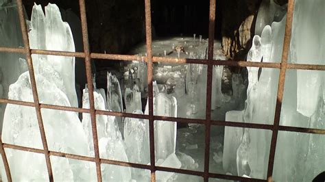 František Behr živé Vysílání Youtube