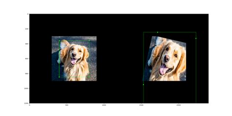 Boundingbox Misalignment For Affineperspectivetransform Case · Issue