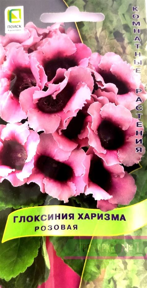 Глоксиния Харизма Розовая купить в Бишкеке оптом и в розницу: Агромаркет №1