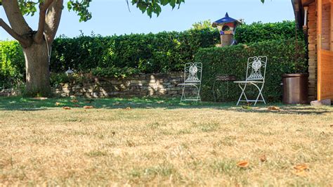 Youll Want To Cut Your Grass To A Different Height During A Drought