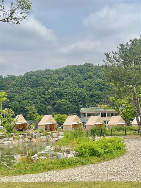 용인 캠핑야미 ⛺️ 용인 당일글램핑 셀프 바베큐 애견동반 가능 네이버 블로그