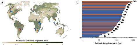 The Distribution Of Mammalian Movement Data In A The Gps Locations Download Scientific