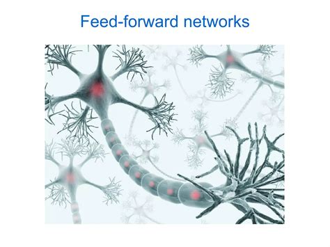Neural Network Architectures Pdf Artificial Intelligence