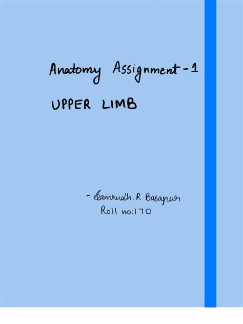 Assignment File 1732881778239anatomy Upper Limb 1 Assignmentby