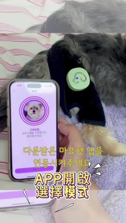 寵物肌肉骨骼健康儀 操作影片 Youtube