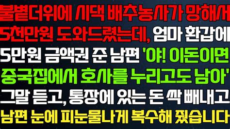 반전 신청사연 더위에 시댁 배추농사가 망해서 5천만원 도와드렸는데 엄마 환갑에 5만원 금액권 준 남편 시원한 역관광하는데