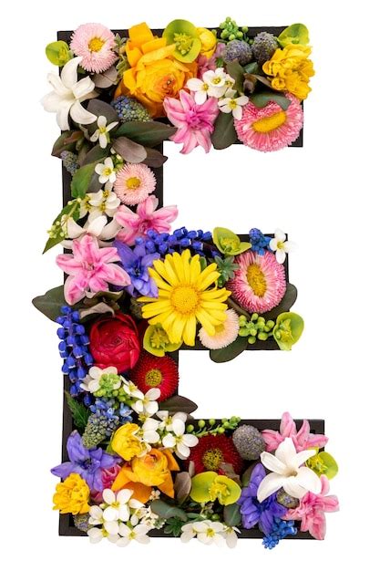 E Flower Letter E Floral Monogram Initial Wildflowers Stock Image