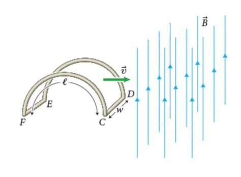 Solved A Rectangular Loop Of Wire Is ℓ800 Mm Long And W500