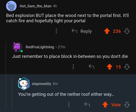 On A Post Where Someone Was Trying To Get Off The Nether Roof In