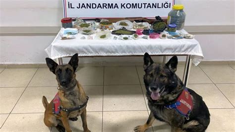 Ağacın Ve Duvarın Dibinde Televizyonun Arkasında Neler çıktı Malatya Yeni Ses Haber