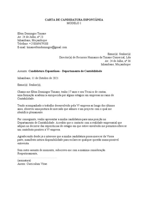Carta De Candidatura Espontânea Pdf