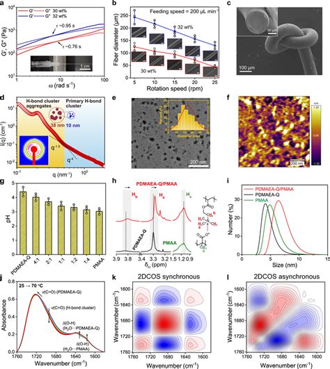 Morphology Nanoconfined Structure And Internal Interactions Of Download Scientific Diagram