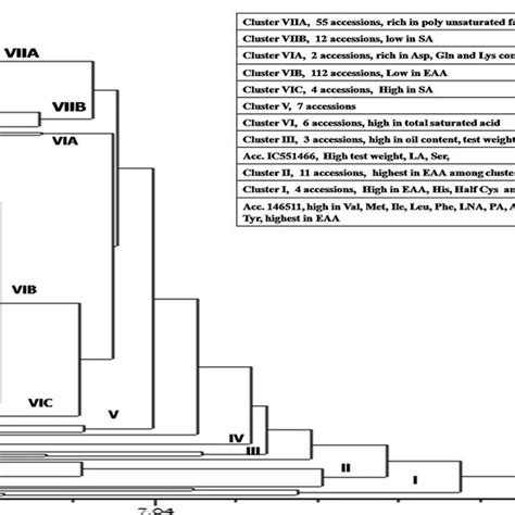 dendrogram based on euclidian distance in 218 amaranth accessions