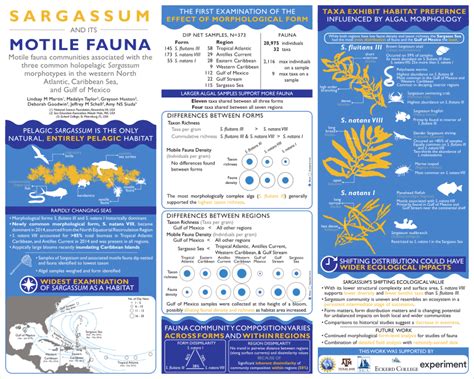 Pdf Motile Fauna Communities Associated With The Three Common Holopelagic Sargassum
