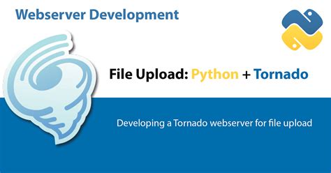 How To Download Files With Python Tornado Framework Jariadesign