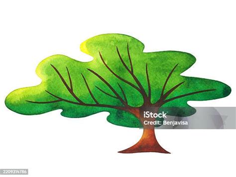 녹색 나무 자연 식물 잎 분기 에코 생태학 환경 꽃 무늬의 숲 자연스러운 개념 상 심벌 마크 상징 기호 미술 디자인 삽화 수채화 그림 화이트 외딴 배경 그림 0명에 대한