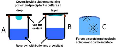 Hanging Drop Crystallization Set Up A In The Classical Drop And B Download Scientific